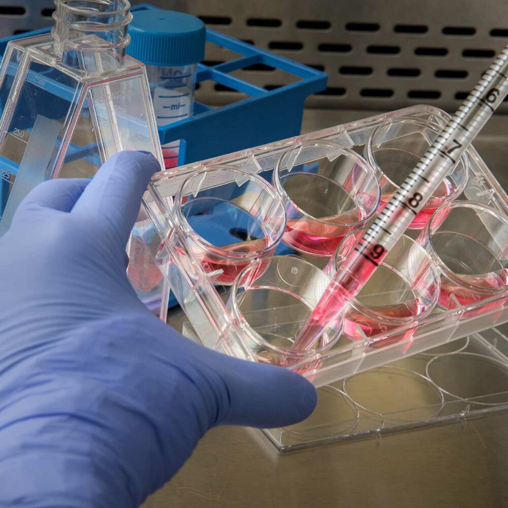 Bioassays in Biotech Training Course | Educo Life Sciences