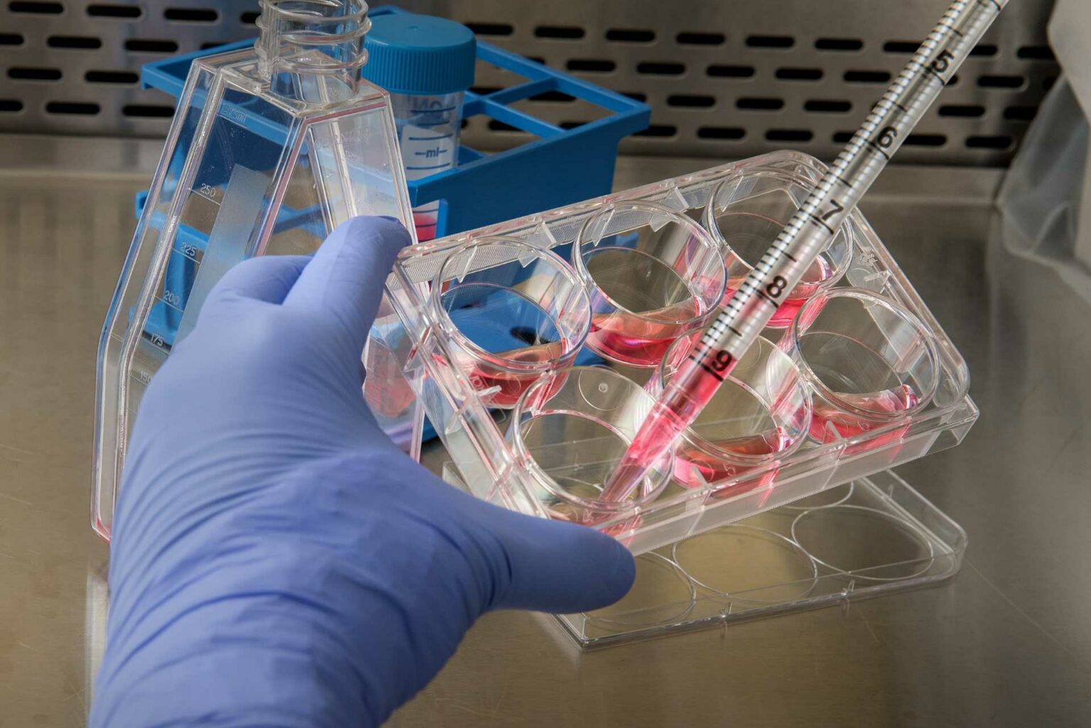 Cell and Gene Therapy Training Courses | ATMP Training | Educo
