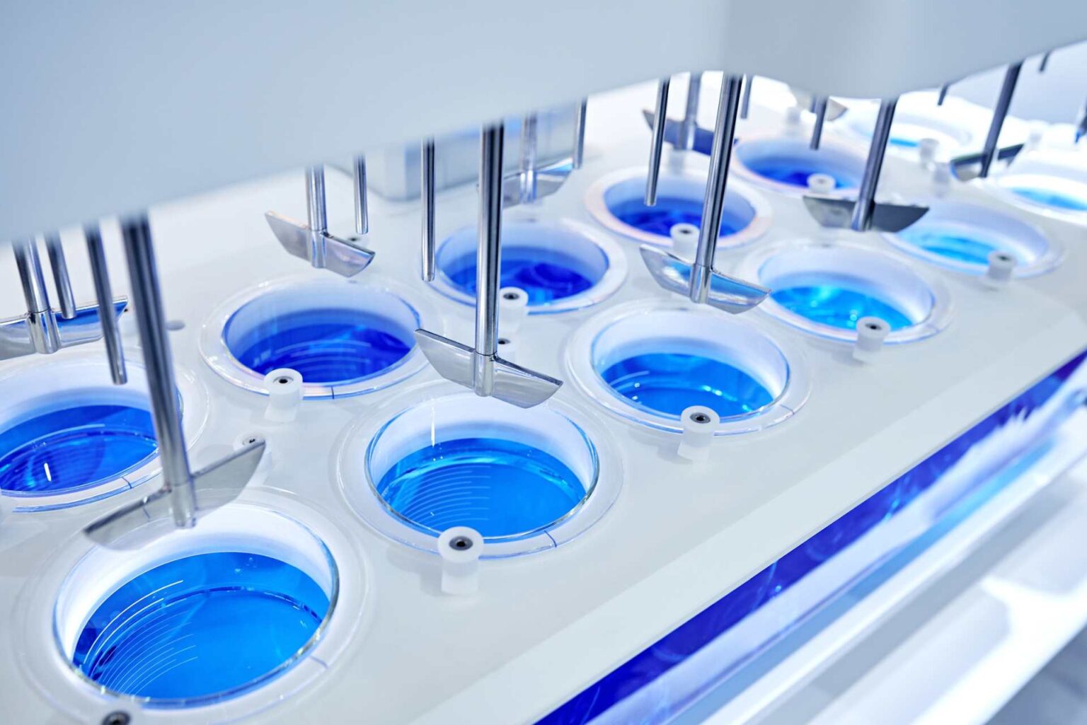 Essential Guide to Cell Bank Lifecycle Management | Educo